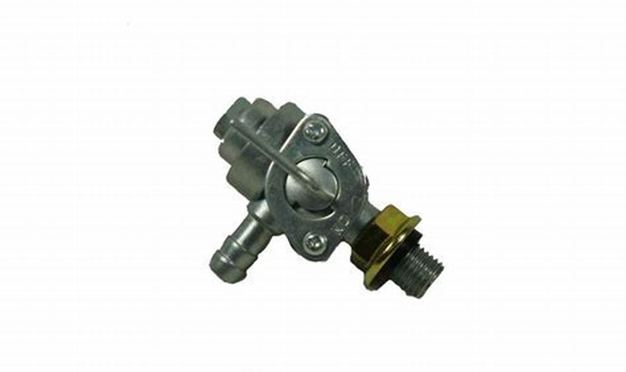 Briggs & Stratton Fuel Shut-Off Valves Guide