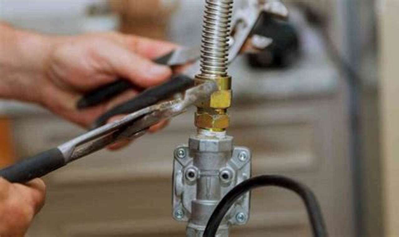 Best Portable Generator Fuel Lines: Guide & Tips