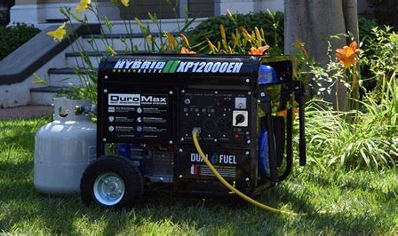 Top-Rated Portable Natural Gas Generators for 2024