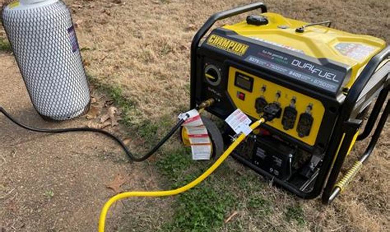 Portable Generator Setup